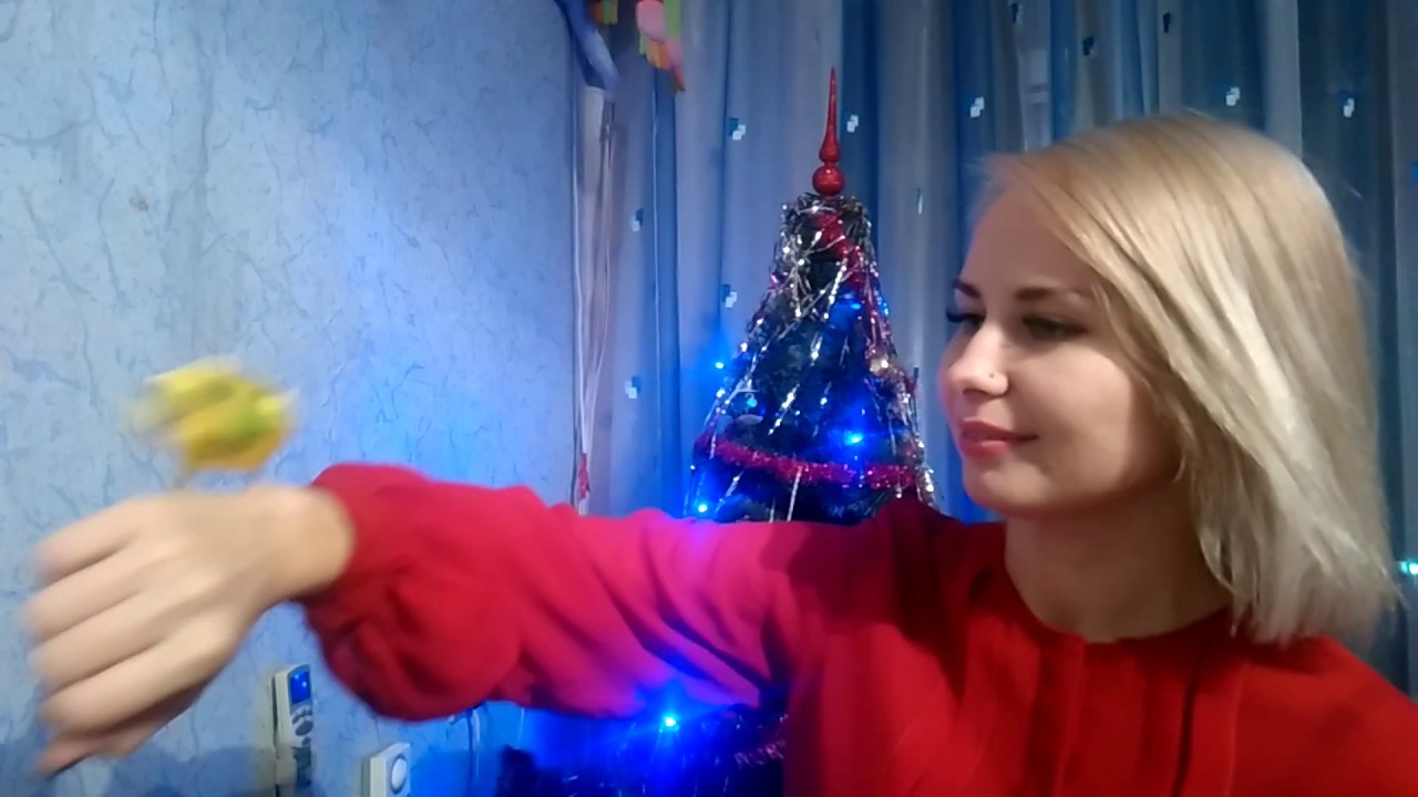 наша птичка приставучка Youtube