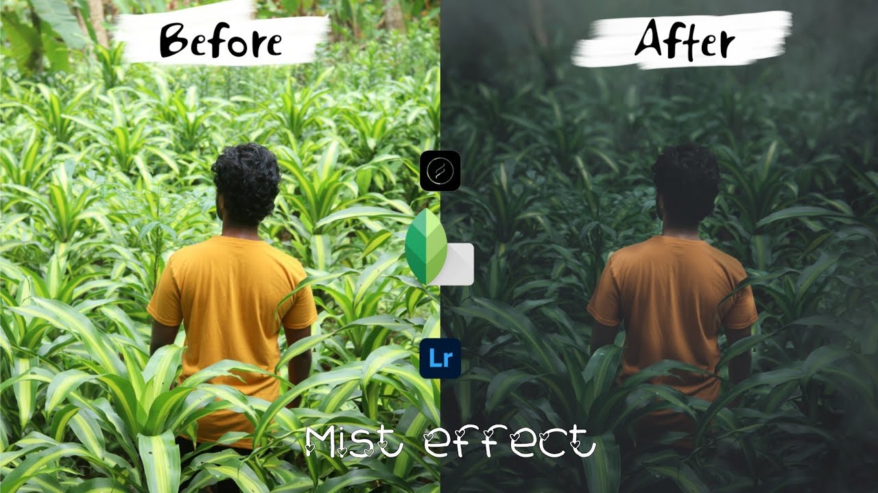 Moody mist effect photo editing workflow | Snapseed | Lens distortions ...