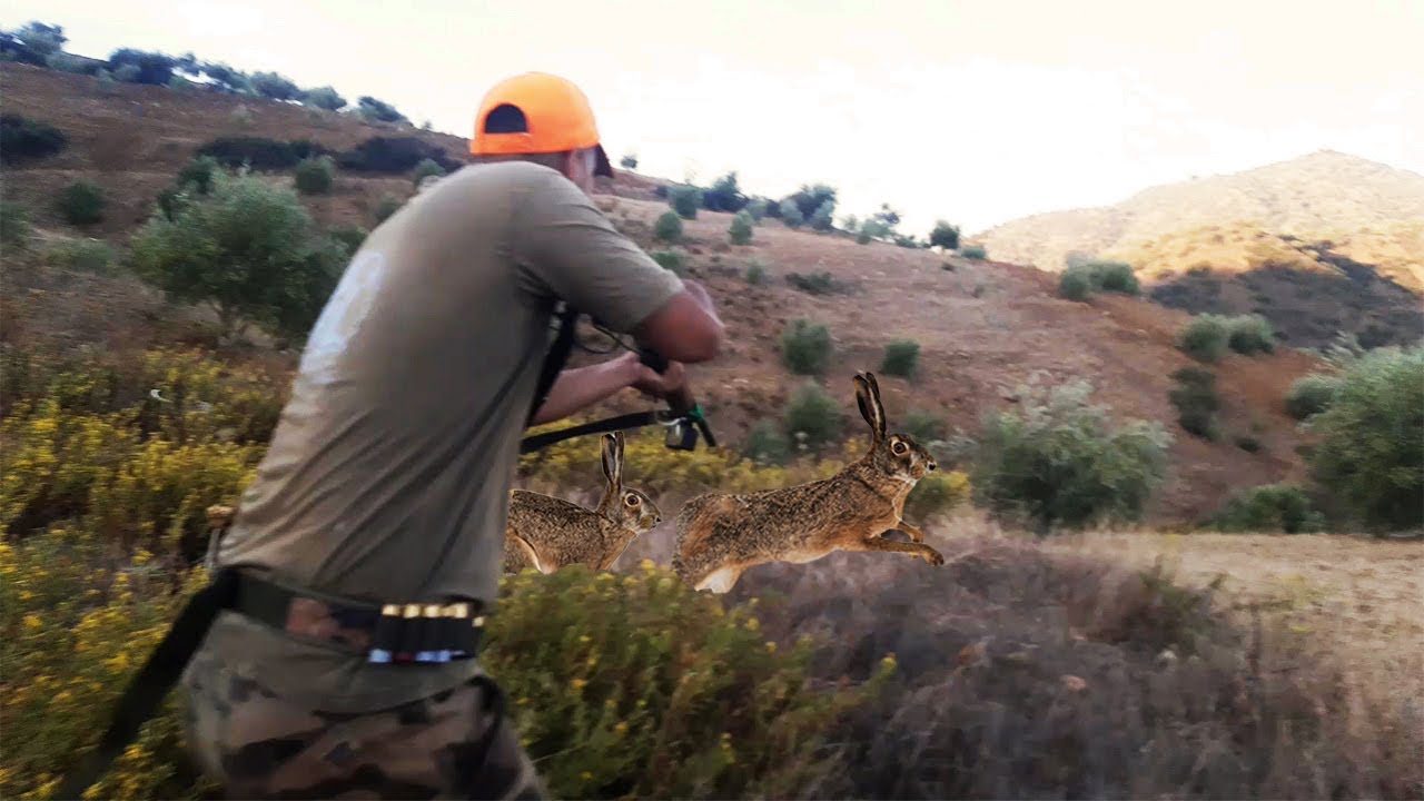 Chasse Perdrix et Lièvre Saison 2021 - Hare and Partridge Hunting Part ...