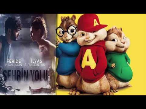 Feride Hilal Akın & İlyas Yalçıntaş - Şehrin Yolu feat. Alvin ve Sincaplar