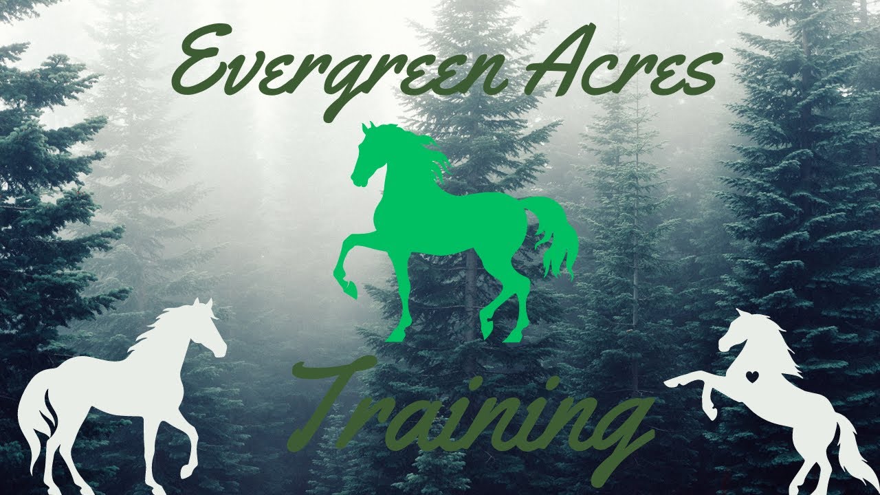 Evergreen Acres Training Spectacular EP 3 - YouTube