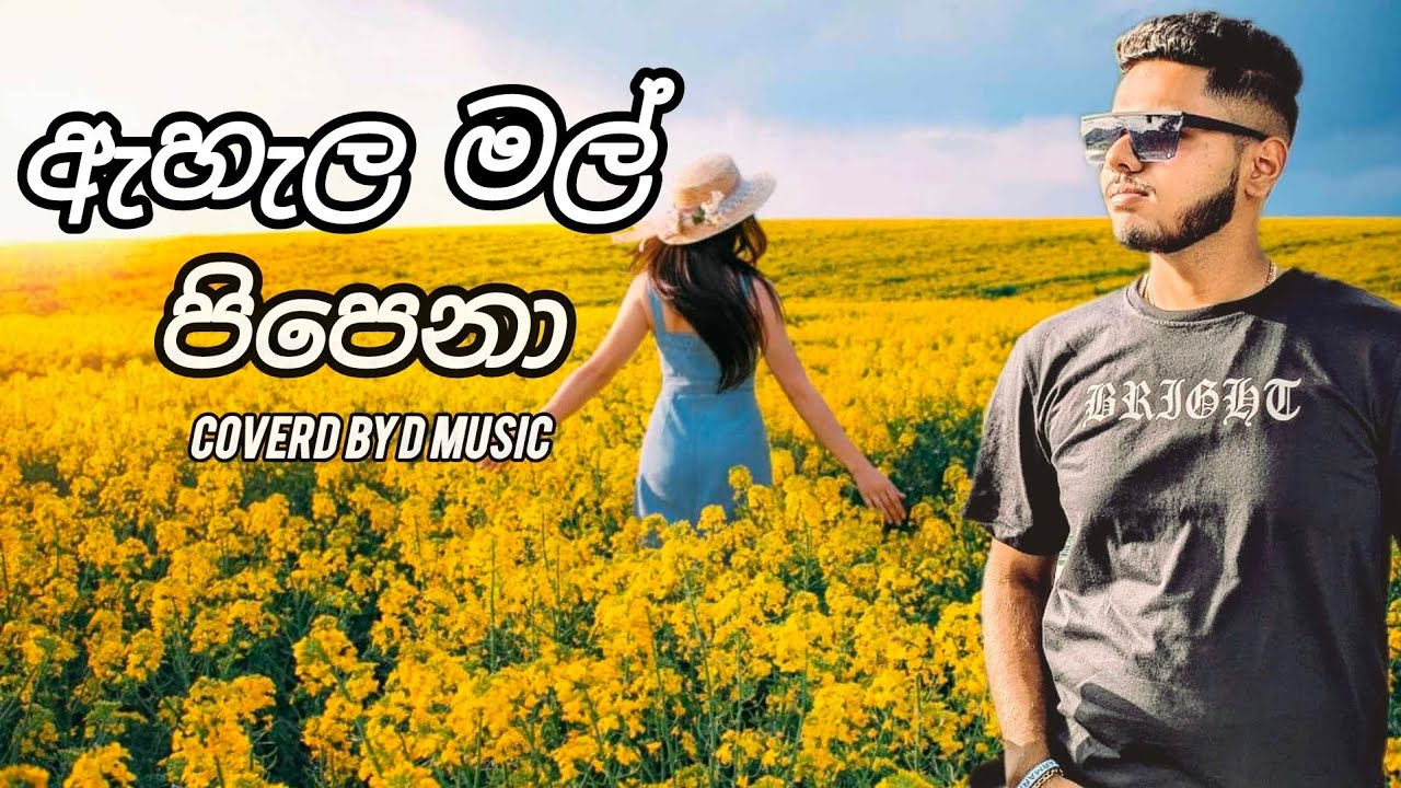 ඇහැල මල් පිපෙනා | Ahala mal pipena | Coverd by @Dilan_induwara - YouTube