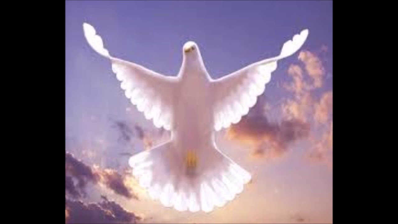 Dove Descending (Philip Wilby) Kew Band Melbourne conducted by Mark ...