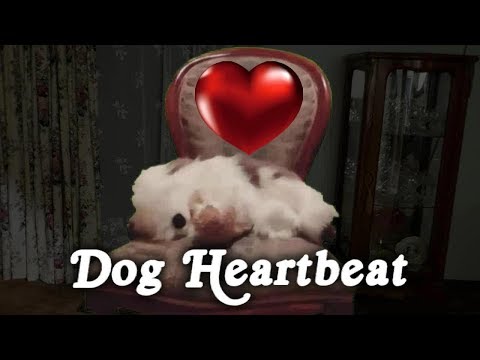 ▶️ Dog Heartbeat. Puppy Sleep Training. Dog Heartbeat Sound Effect. Heartbeat Sound. 10 Hours. 🌏