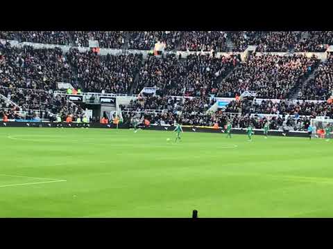 Newcastle fans as Jamal lascelles