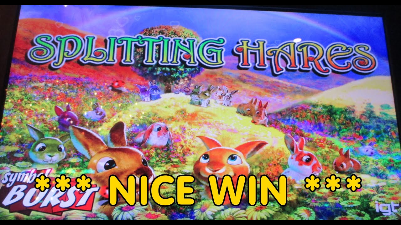IGT - Splitting Hares *** NICE WIN *** - YouTube