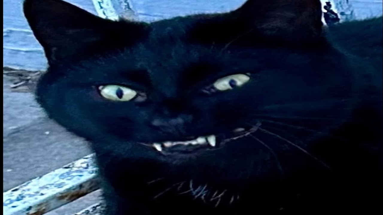 Evil Larry seeing an unattended penar out in the open ready for ...