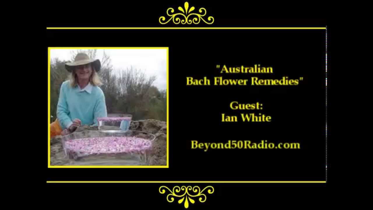 Australian Bush Flower Essences - YouTube