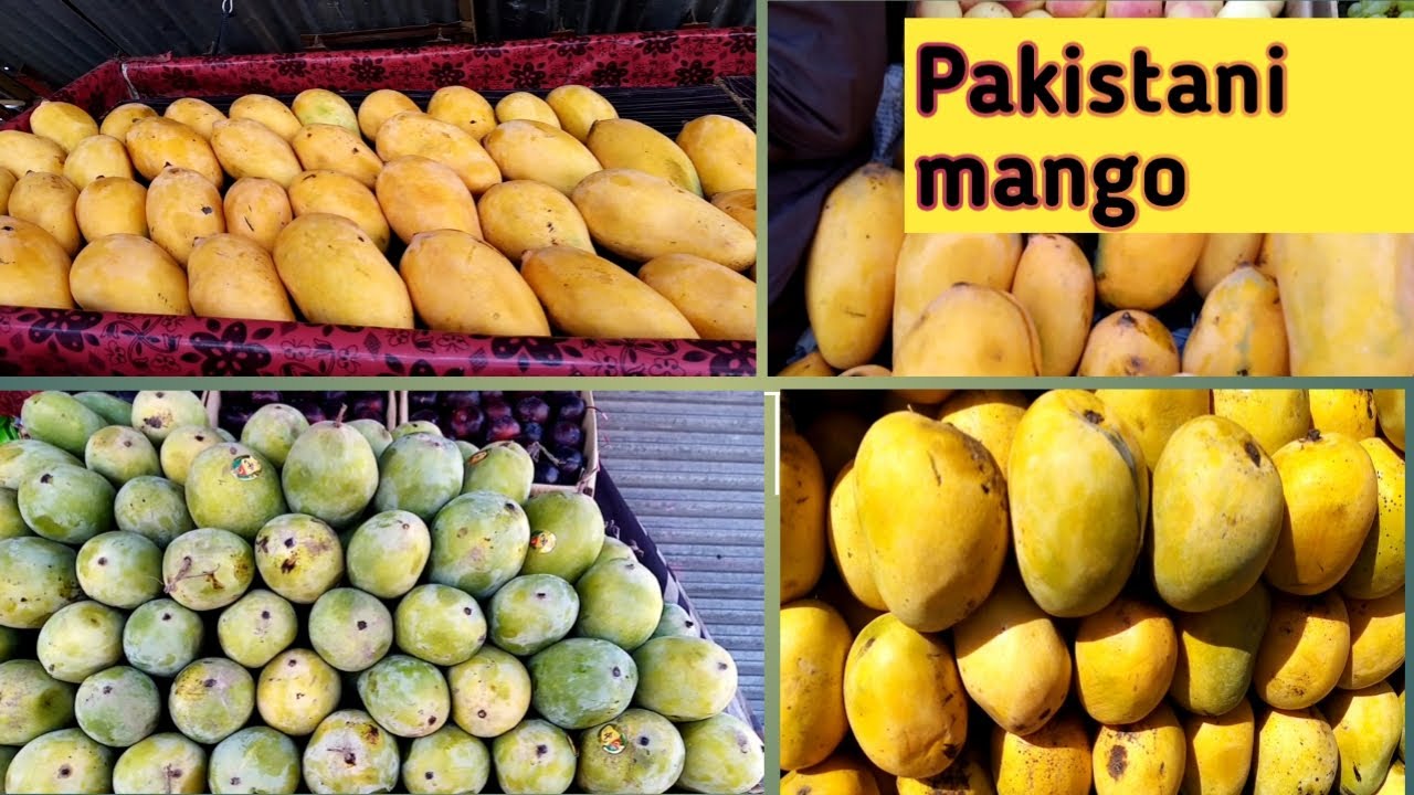 King of fruits Mango||Pakistani mango||life of Sania - YouTube