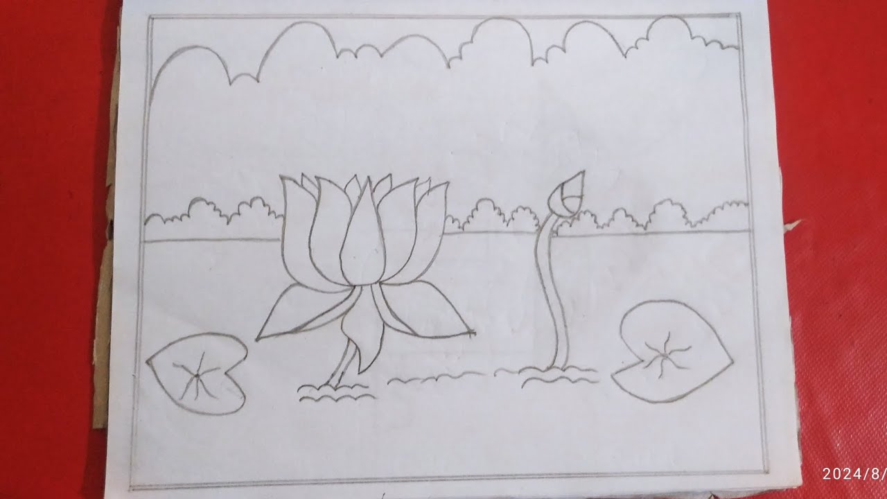How to draw waterlily💕💕shapla ful drawing easily ||Easy waterlily ...