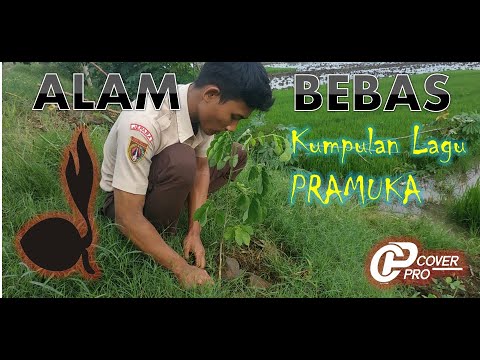 Lagu Pramuka: Alam Bebas Lirik - YouTube