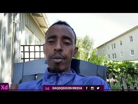 Qoyka iyo guushooda