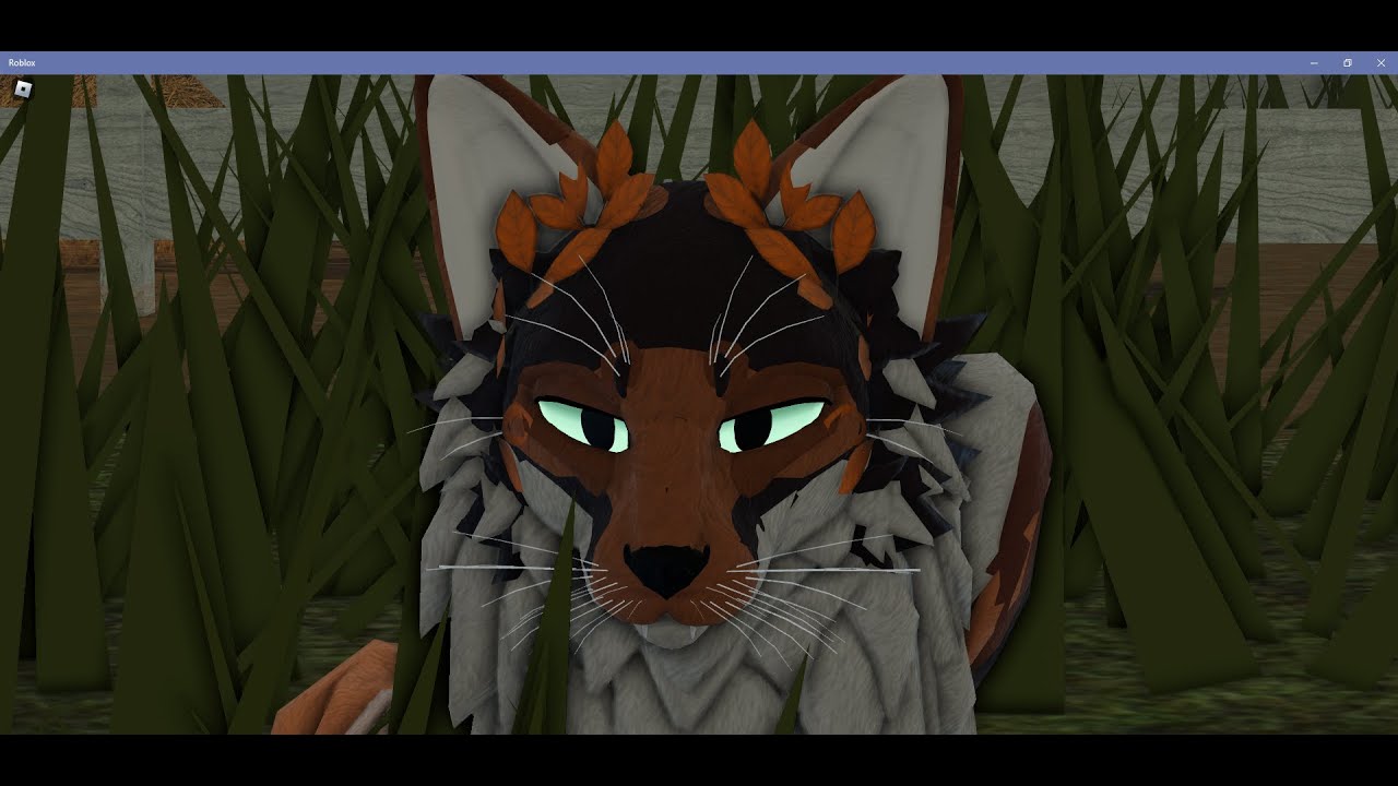 How to properly be a wolf! | Savannah Wcue - YouTube