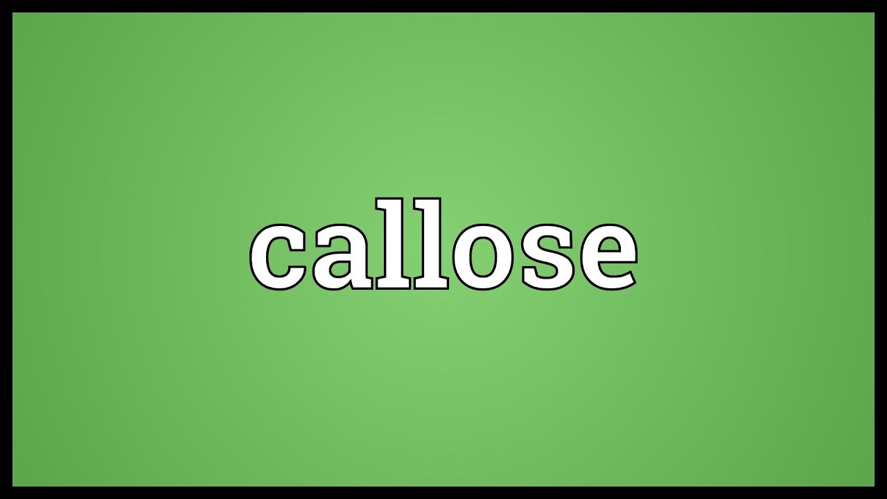 Callose Meaning - YouTube
