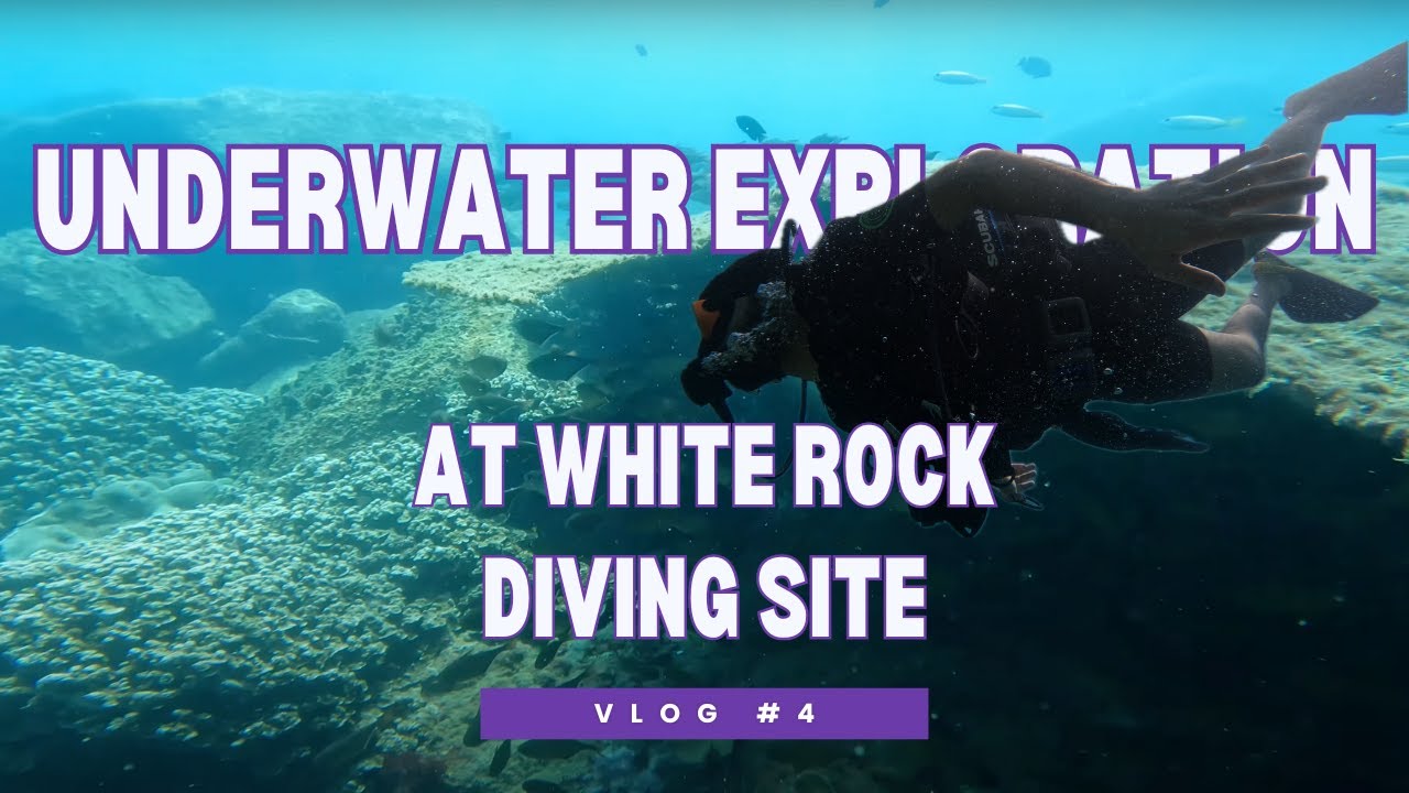 Underwater Exploration at White Rock Diving Site - Nilaveli, Trincomalee, Sri Lanka - YouTube