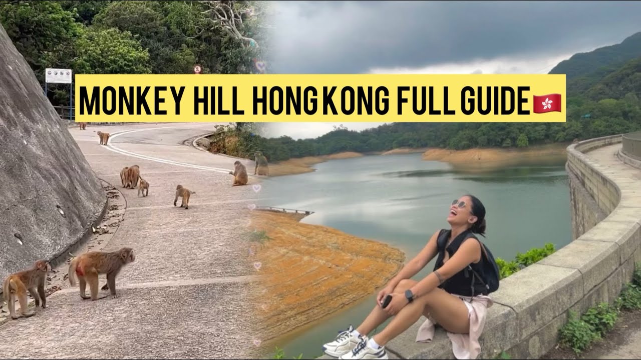 How to go to Monkey Hill Hong Kong/ Shek Lei Pui Reservoir/ easy short ...