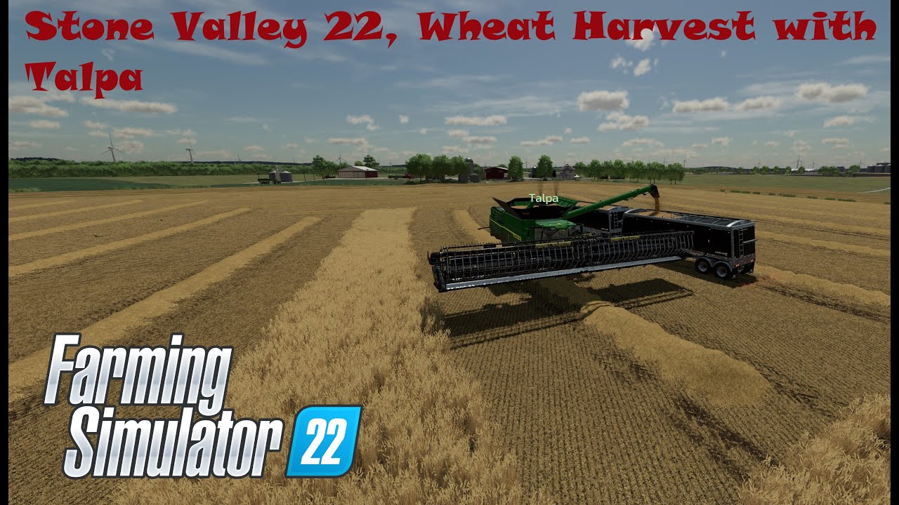 Farming Simulator 22 [Stone Valley 22][Wheat Harvest] With Talpa - YouTube