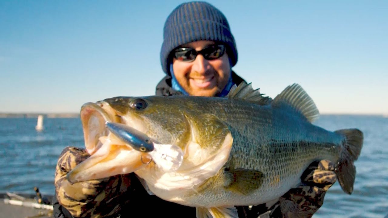 Giant Bass on Crankbait and Umbrella Rig! - YouTube