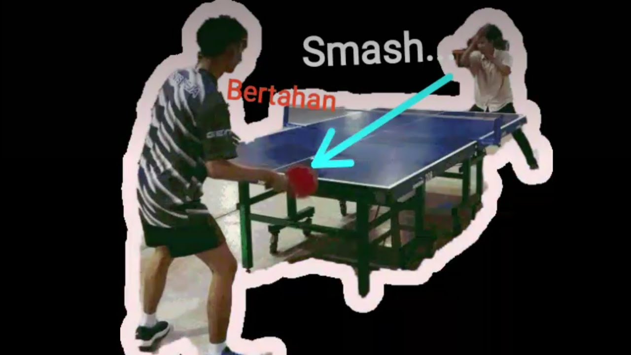 Latihan pukulan dasar tenis meja bagi pemula - YouTube