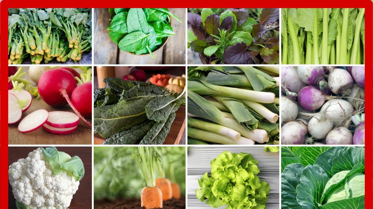 COLD-SEASON VEGETABLES - YouTube