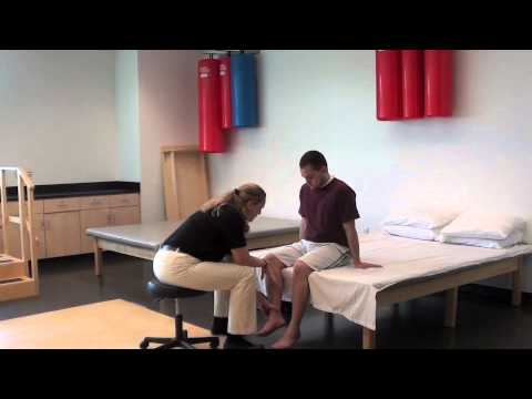 Lower Extremity Strength Screen - YouTube