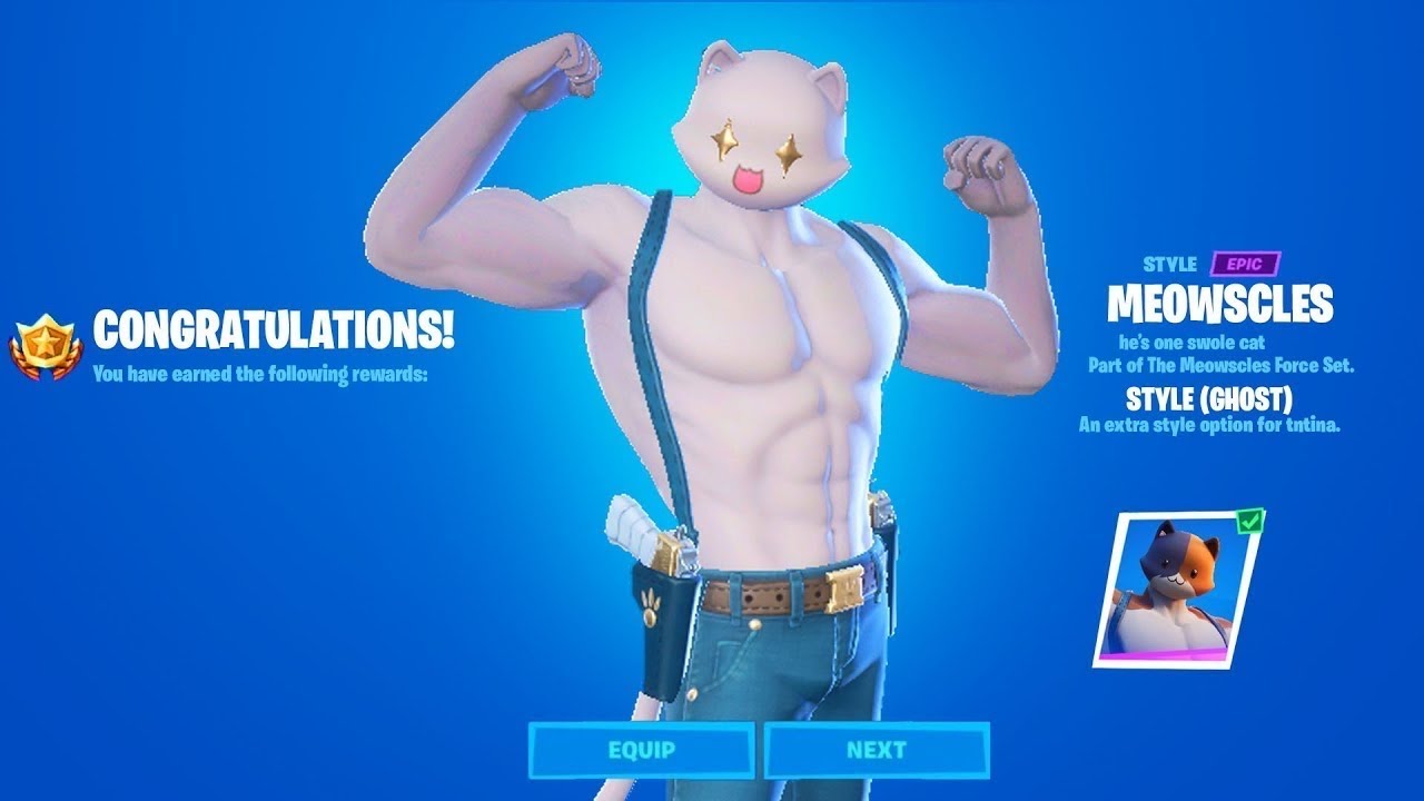 Fortnite Meowscles Ghost Gameplay Solos 8 kill Win - YouTube