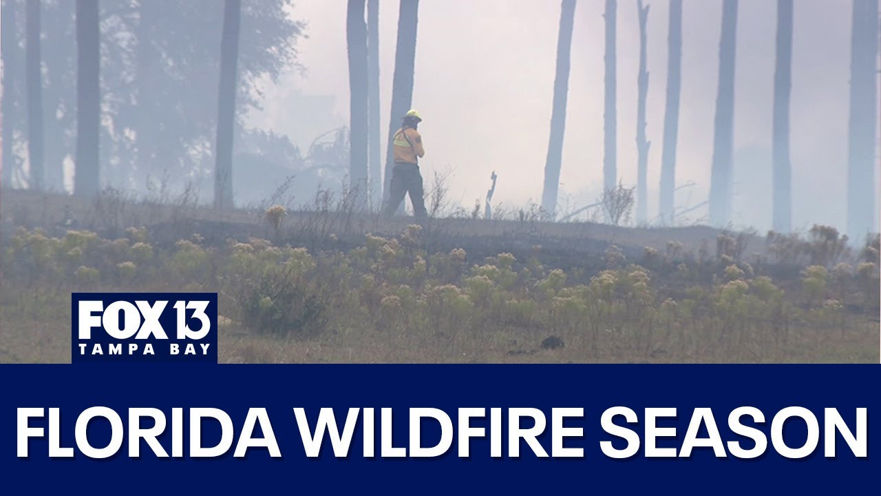 Florida fire officials run drills in preparation for wildfire season ...