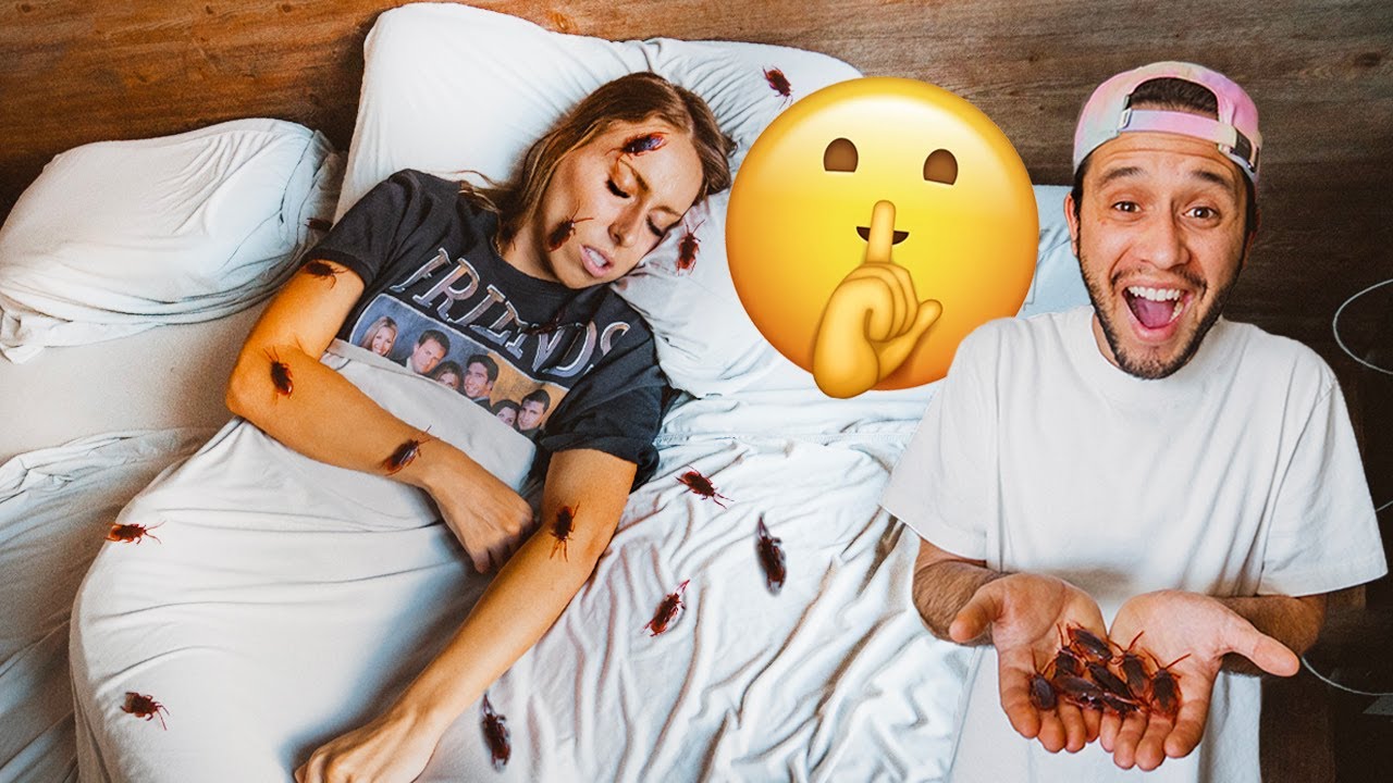 BUGS PRANK ON MY WIFE *HILARIOUS* - YouTube