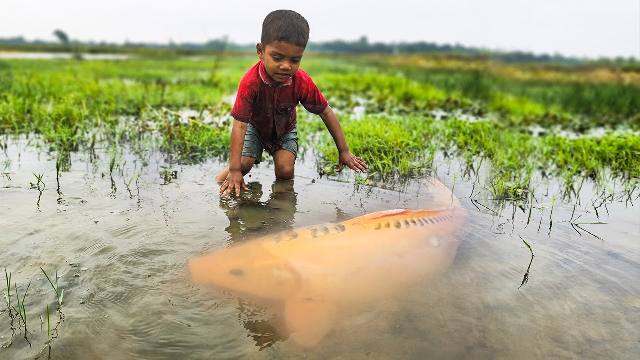 Amazing Boy Catching Fish By Hand | Traditional Little Catching Big ...