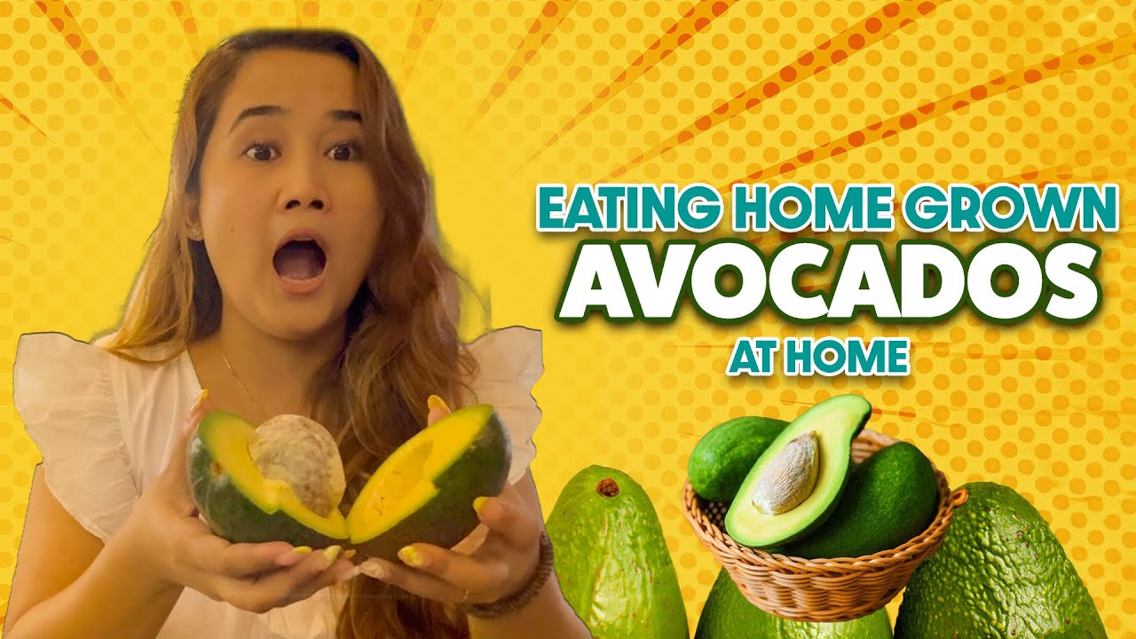 Eating Home grown organic avocados & talking abt Sajjan Raj Vaidya’s ...