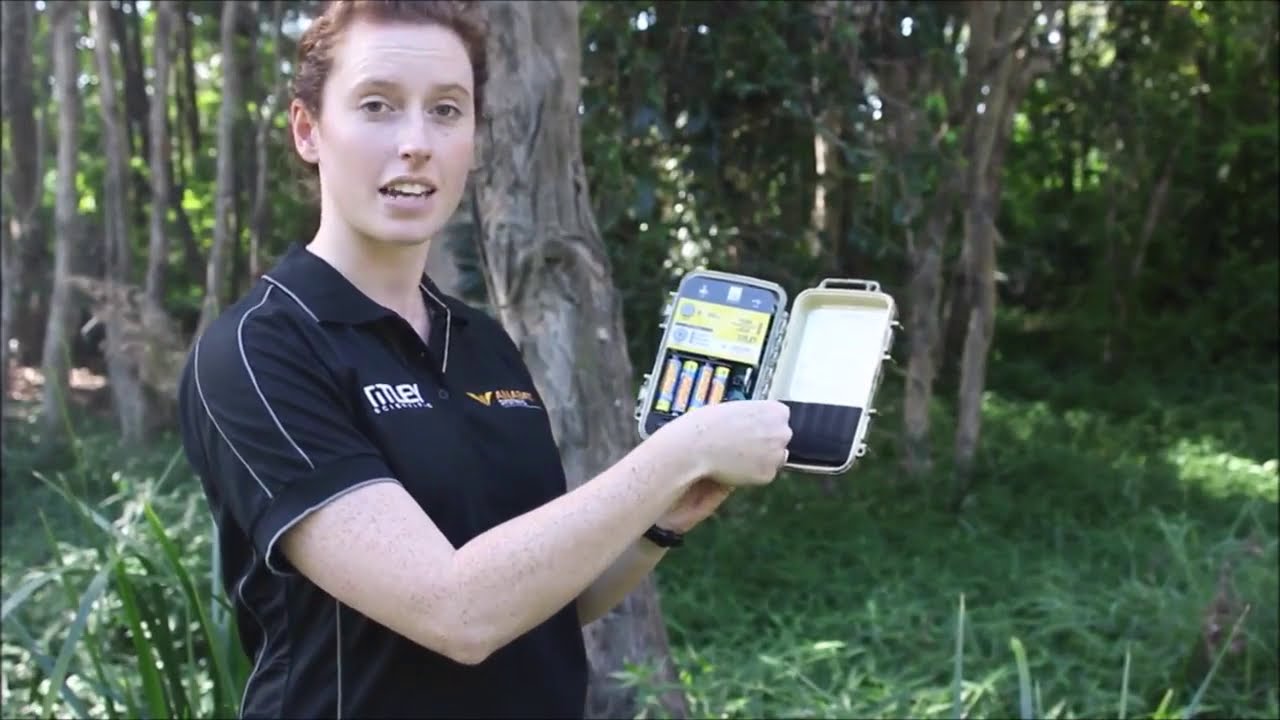 Guide to Anabat Express - YouTube