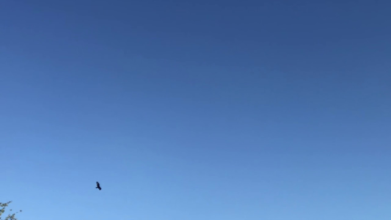 Tricopter running inav RTH and land - YouTube