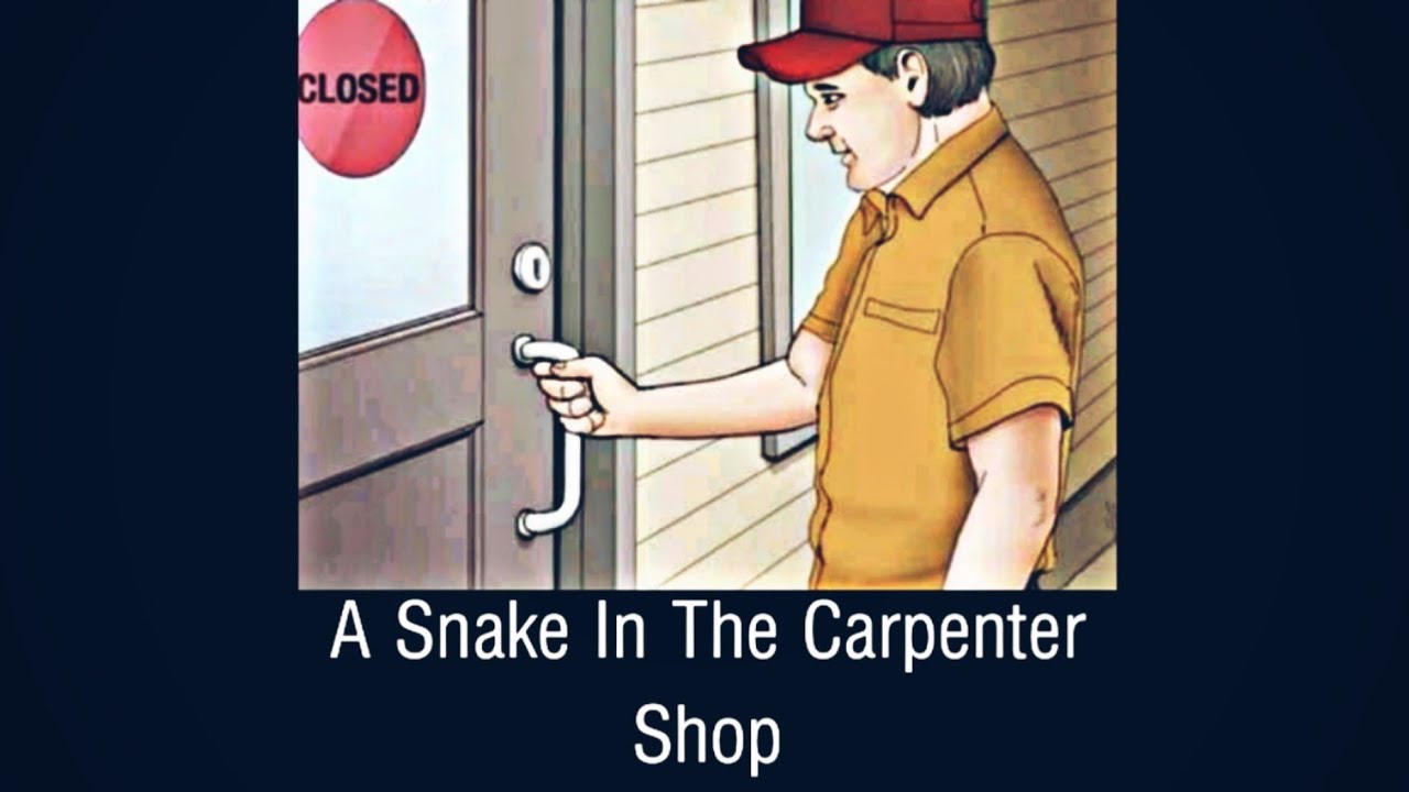 A Snake In The Carpenter Shop - True Story - Best Moral Video - YouTube
