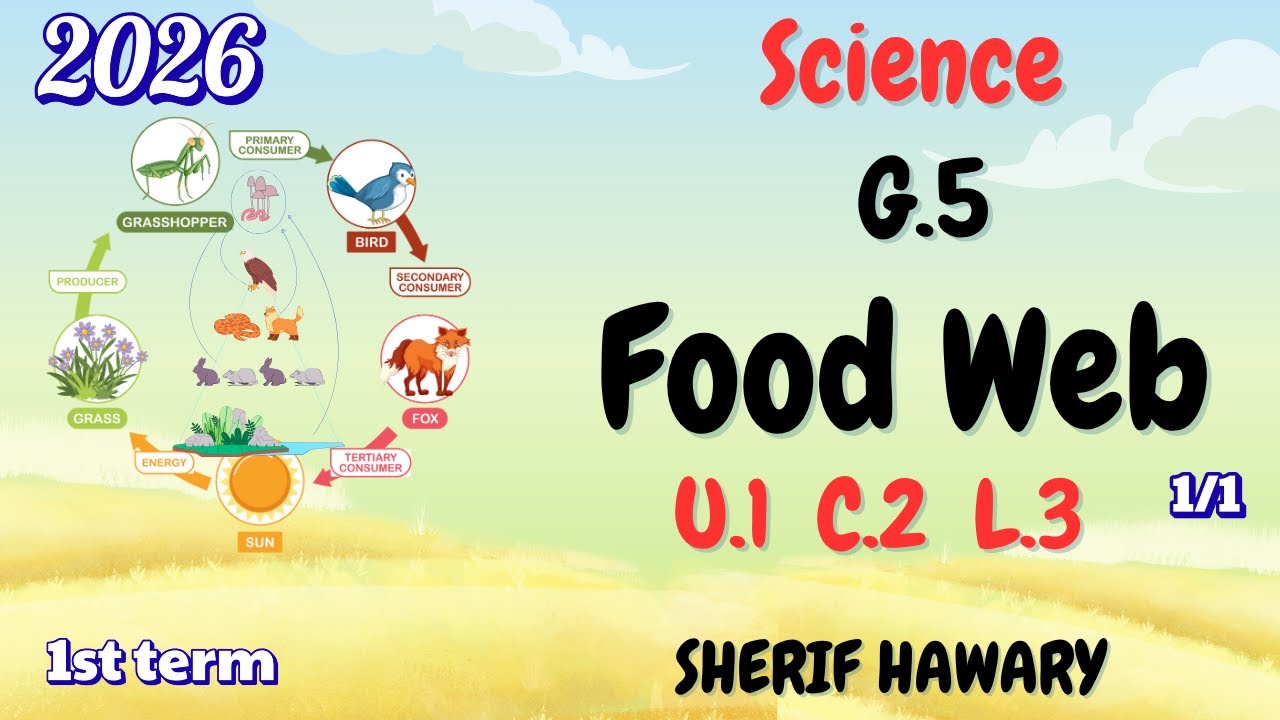 Science 5 | Food Web |Grade 5 | Unit 1-Concept 2 -Lesson 3 - Part (1/1 ...