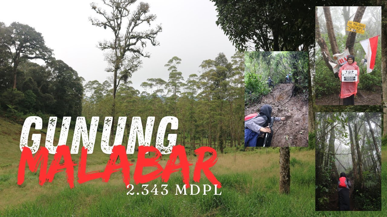 Pendakian Gunung Malabar – Menaklukkan Puncak Besar 2.343 Mdpl via Kopi ...