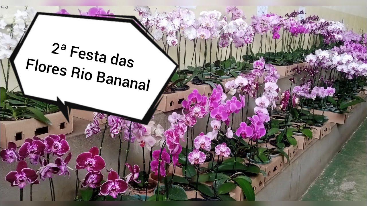 Orquidário Monte Negro - 2ª Festa das Flores de Rio Bananal - YouTube