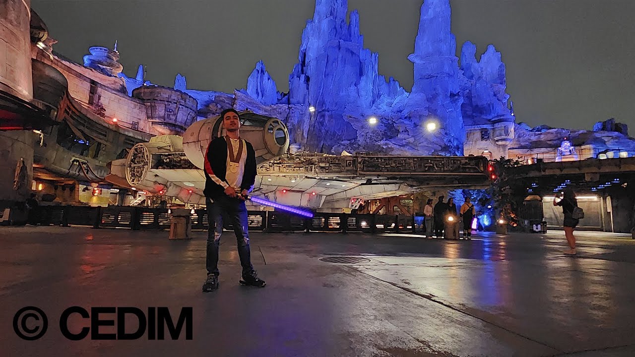 Disneyland CEDIM Dia 3 - YouTube