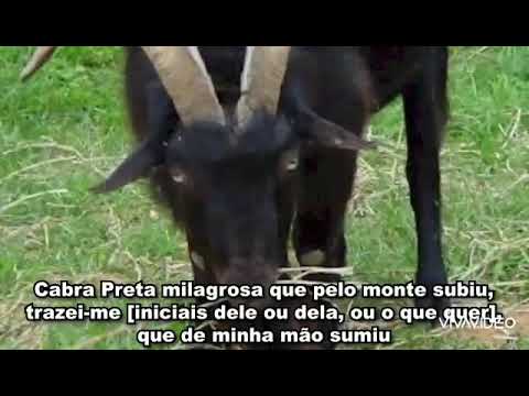 Oração da cabra preta milagrosa para amarração - YouTube