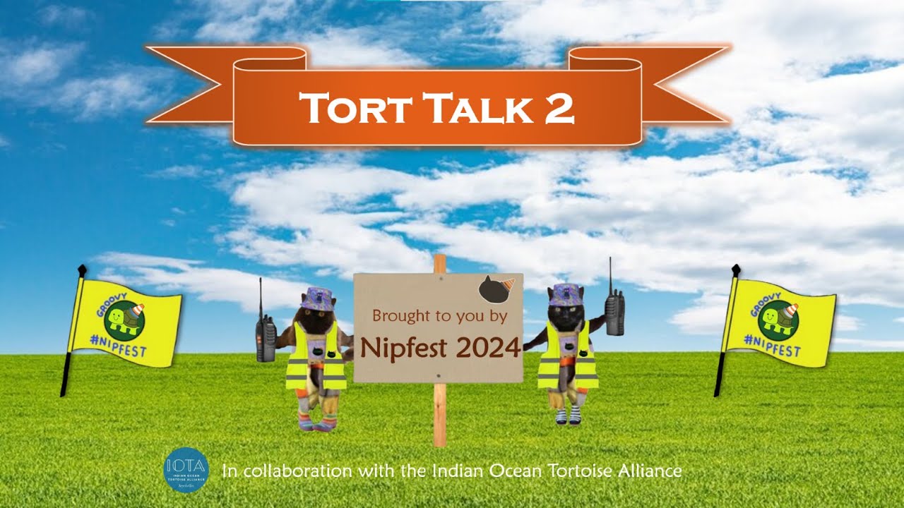 Tort Talk 2 - Nipfest 2024 - YouTube