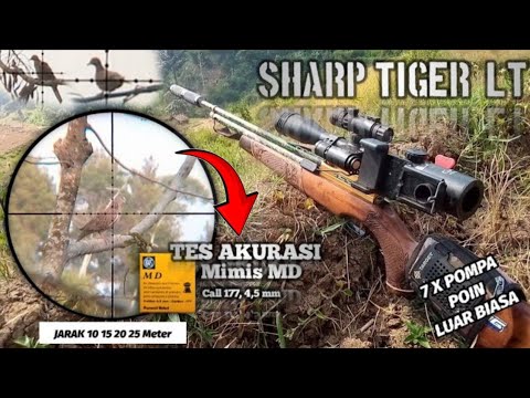 Uklik Andalan | Sharp Tiger long truglo tes akurasi MD || Hunting ...