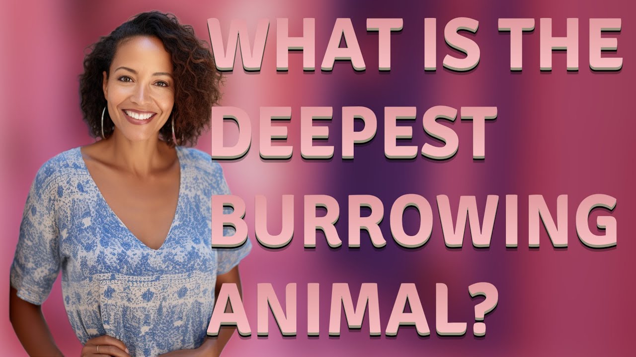 What is the deepest burrowing animal? - YouTube