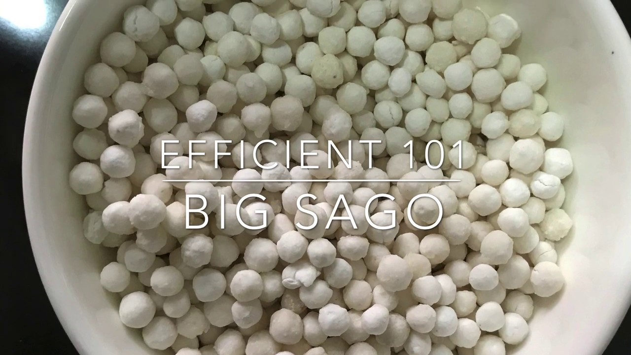 Quickest way to cook Big Sago (西米露）with audio and subtitle - YouTube