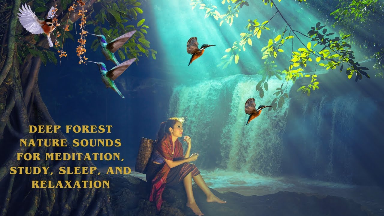 Deep Forest Meditation: Serene Nature Sounds for Relaxation and Inner ...