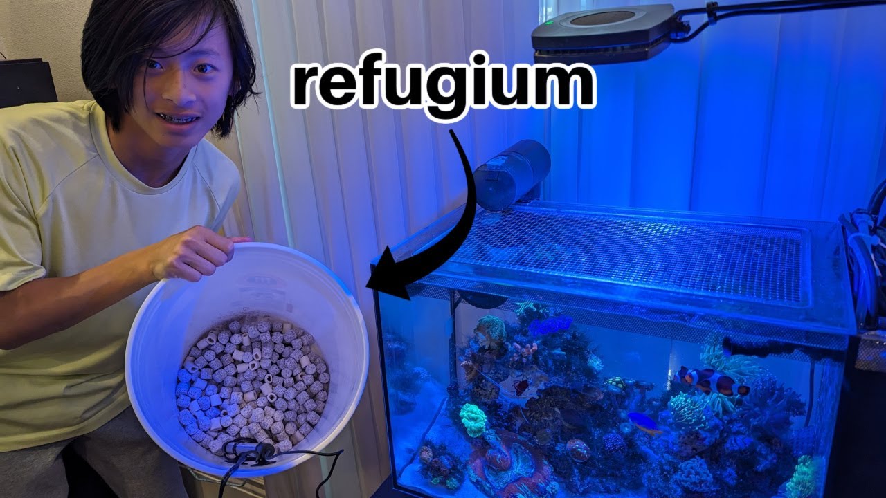 Adding a new DIY refugium to our reef tank. - YouTube