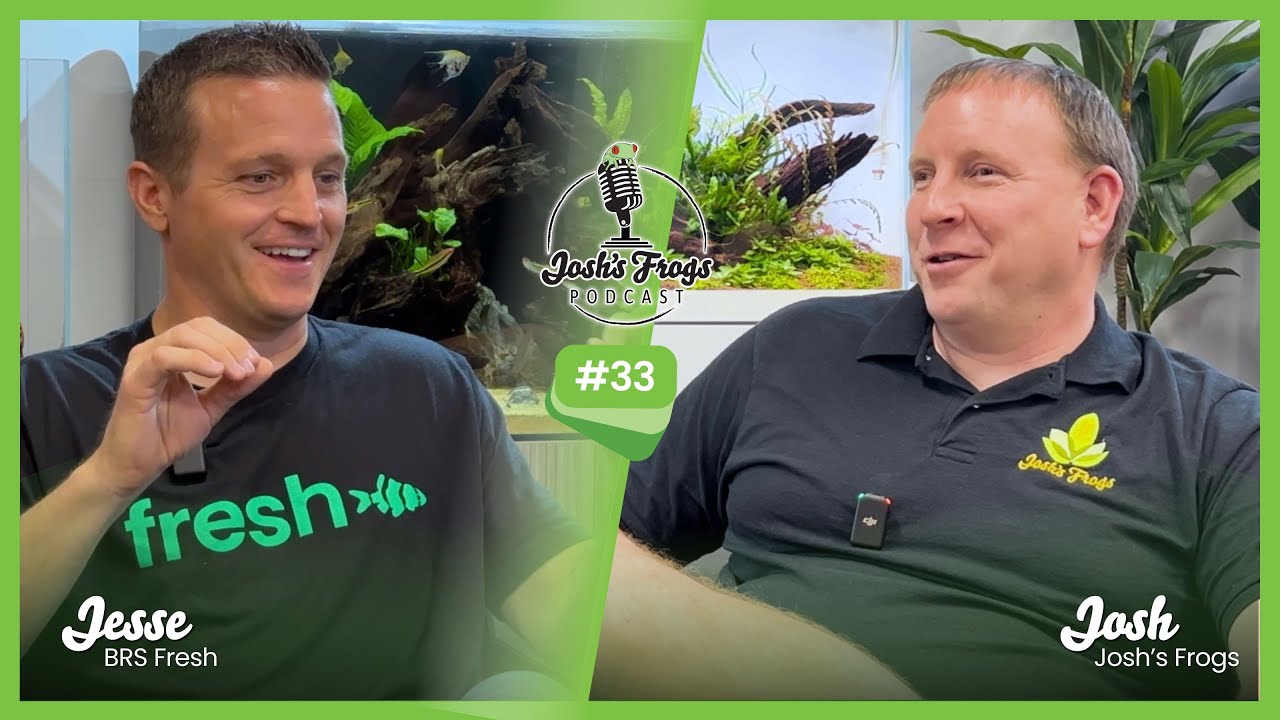 Josh's Frogs @BRSfresh | The Josh's Frogs Podcast Episode 33 - YouTube