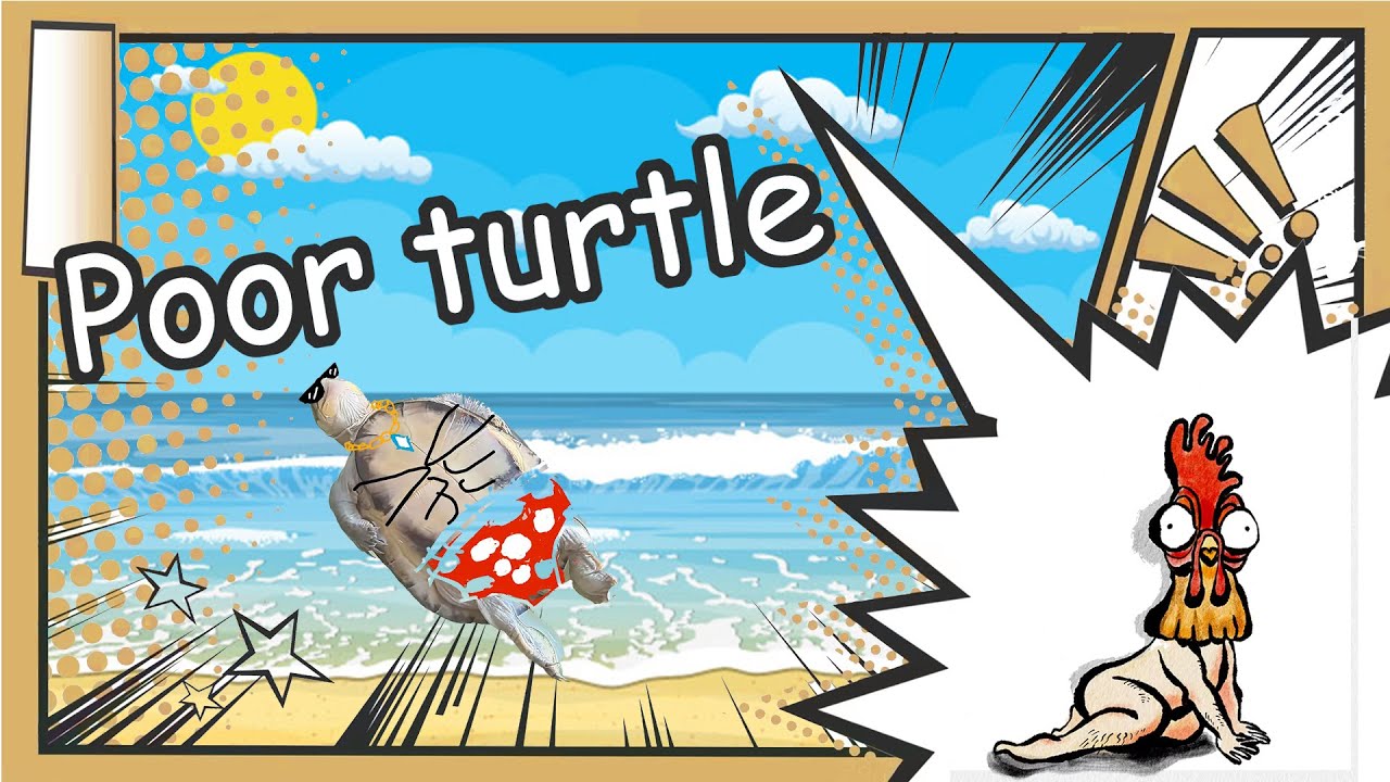 Poor turtle - YouTube