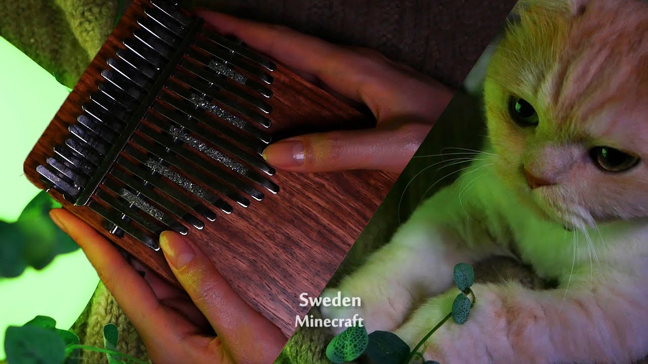 Sweden, Minecraft - Kalimba cover. - YouTube