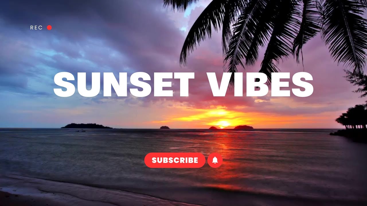 🌅 Sunset Vibes Playlist | Chill Tropical, Electro-Pop & Golden Hour ...