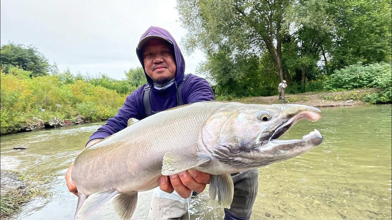 SALMON RUN FISHING SEPTEMBER 2022 - YouTube