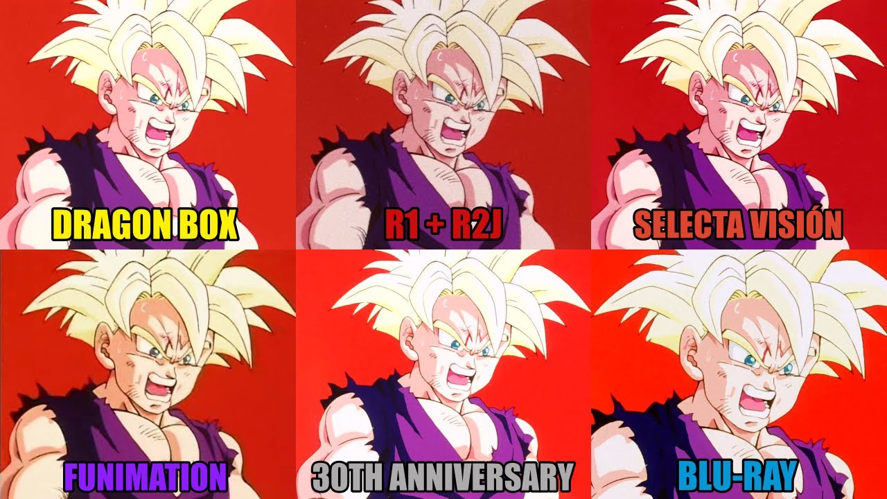 DRAGON BOX vs 30TH ANNIVERSARY vs SELECTA VISIÓN vs FUNIMATION vs R1 ...